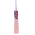 SS Klaasen Player Junior Cricket Bat 2025 (Kashmir Willow) - Walmart.com