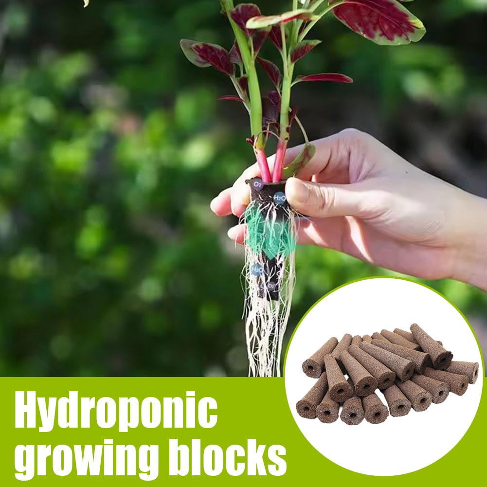 SSKFHGI 50 Pack Grow Sponges Starter Pods Root Growth Sponge Plugs For ...