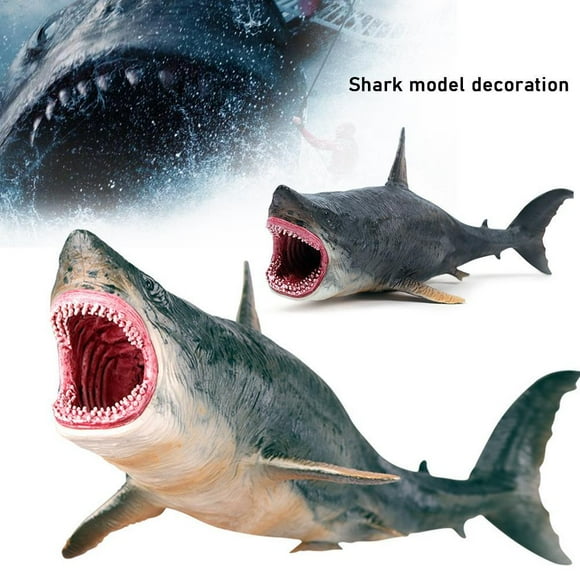 Megalodon Shark