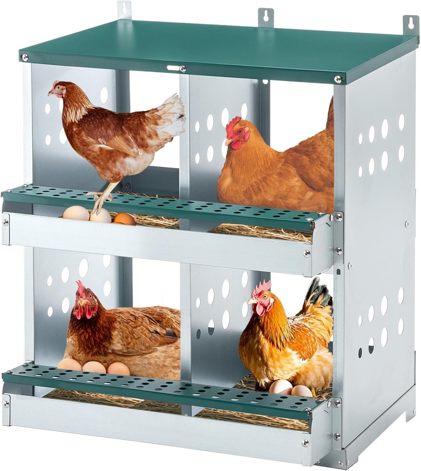SSLine Metal Chicken Nesting Box 4 Compartment Nesting Box, 4 Room ...