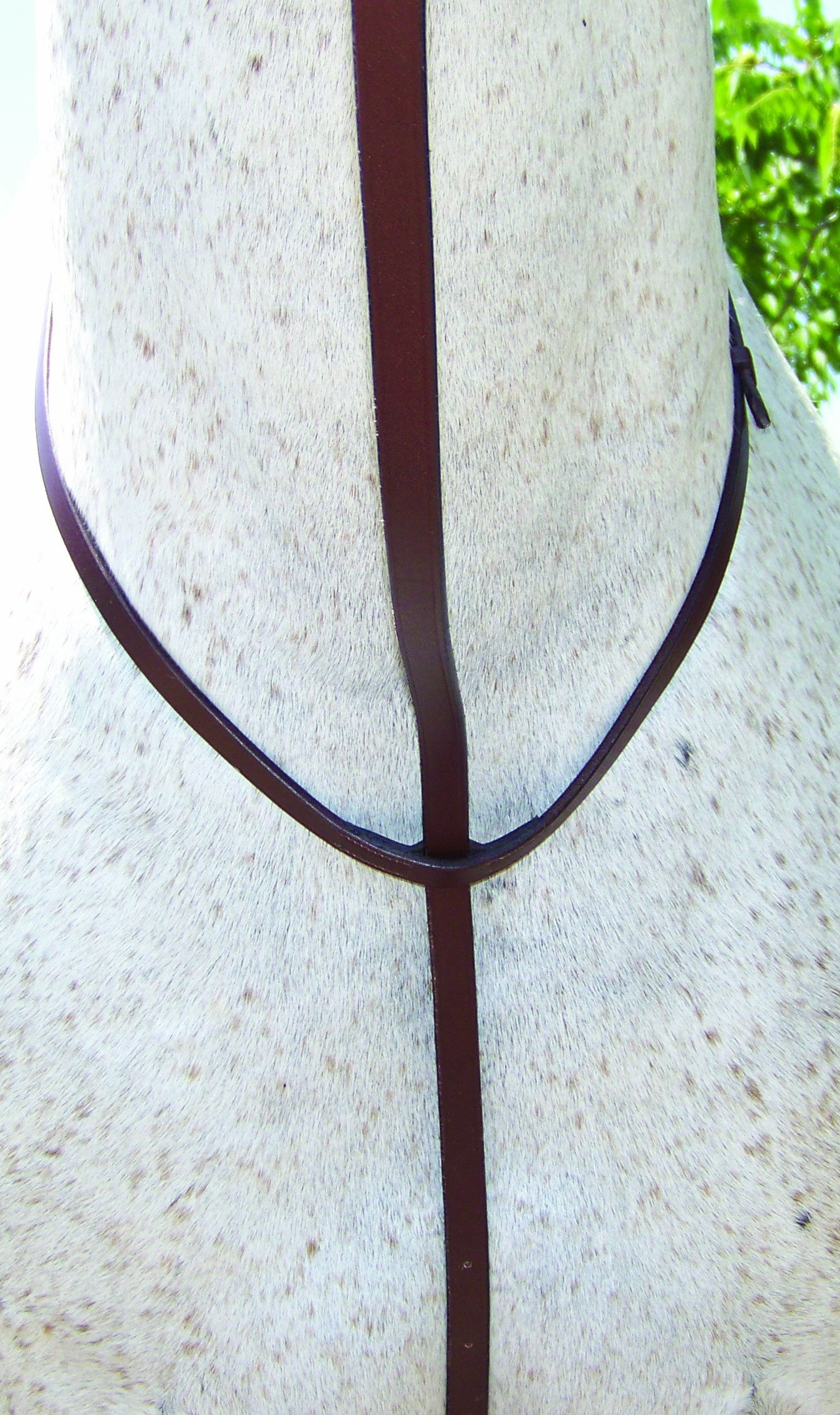 Standing Martingale Shannon Flat Standing Martingale. Color: Brown Size ...