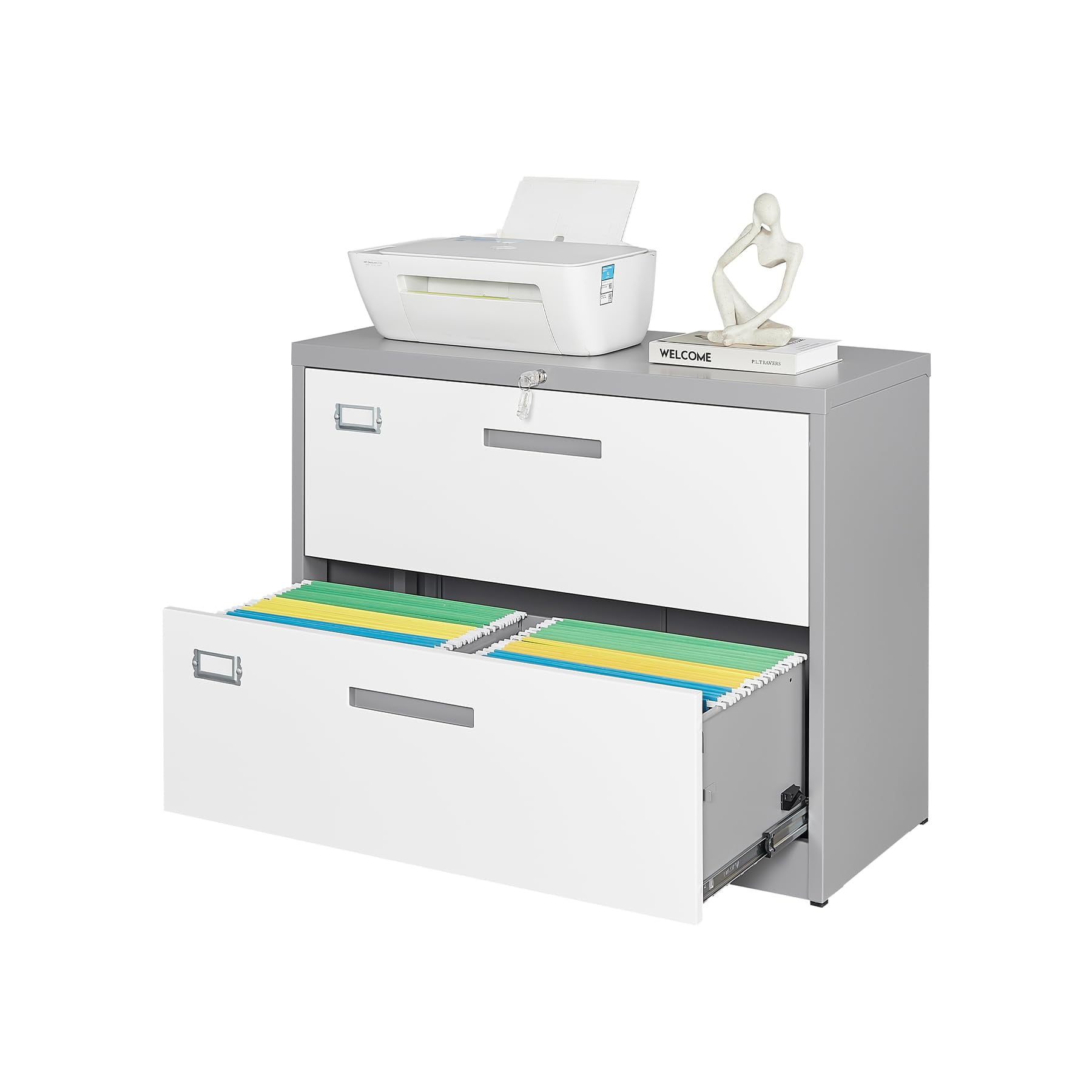 STANI 2 Drawer Lateral File Cabinet Metal Filing Cabinet with Lock ...