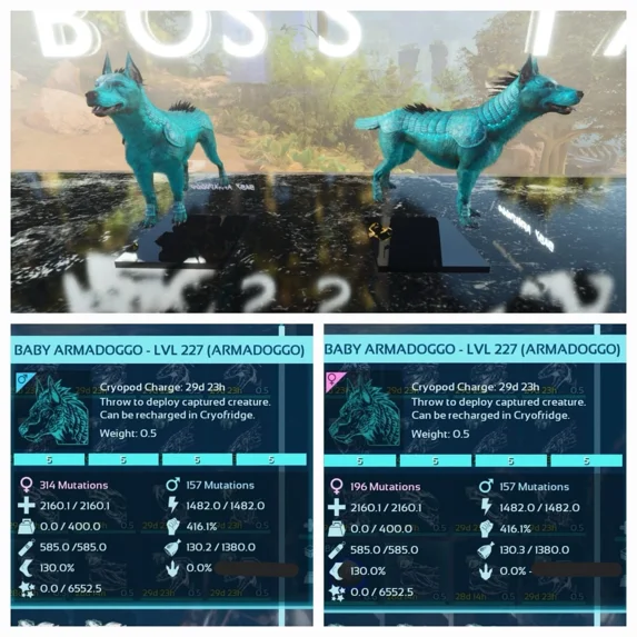 STAR- Ark Ascended Pve Official Pair Baby Armadoggo High Status Id 05 ...