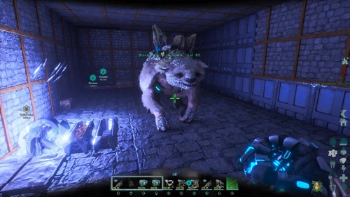 STAR- Ark Survival Ascended Pve Official 1X Black Pearl And Silica ...