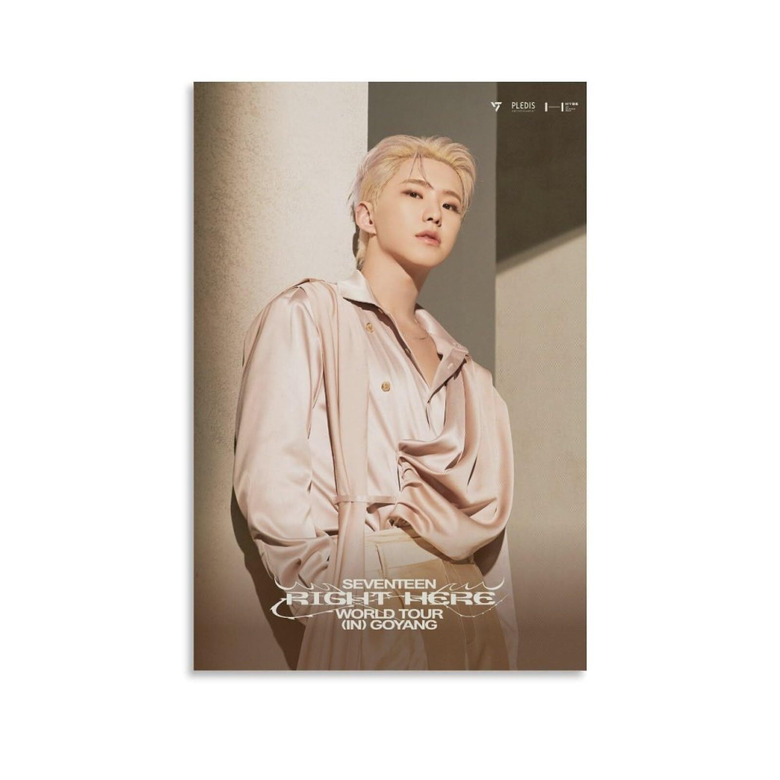 STAR HOSHI SEVENTEEN RIGHT HERE WORLD TOUR ALBUM COVER Canvas Poster ...