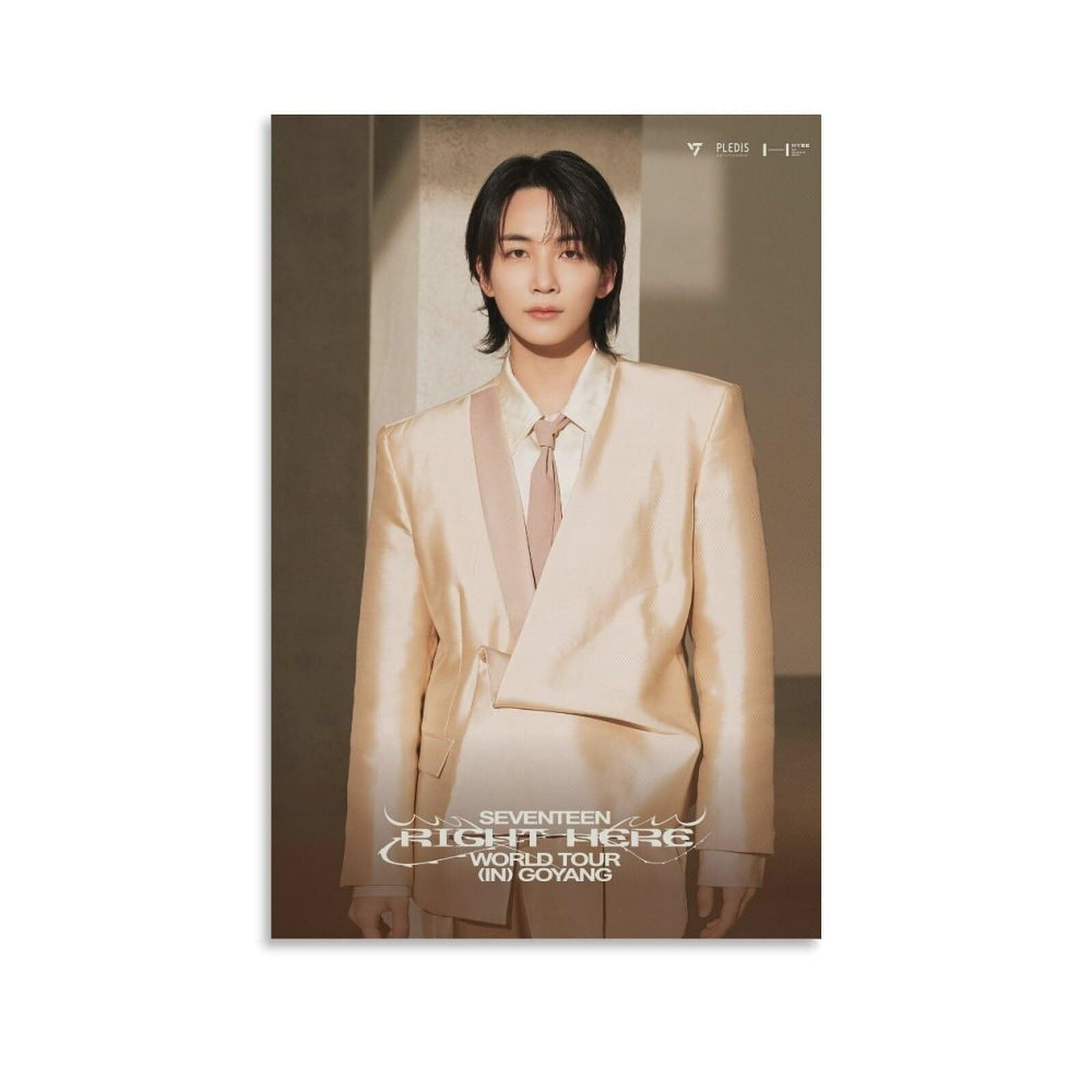 STAR JEONGHAN SEVENTEEN RIGHT HERE WORLD TOUR ALBUM COVER Poster ...