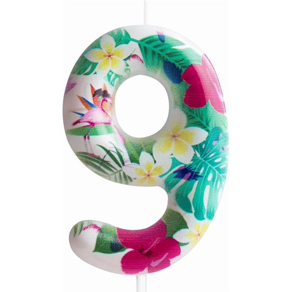 STARLIGHT- 9Th Birthday Candle Number 9 Cake Topper Decorations ...
