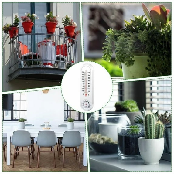 STARLIGHT- Indoor Dial Thermometer Humidity For Chicken Poultry Quail ...