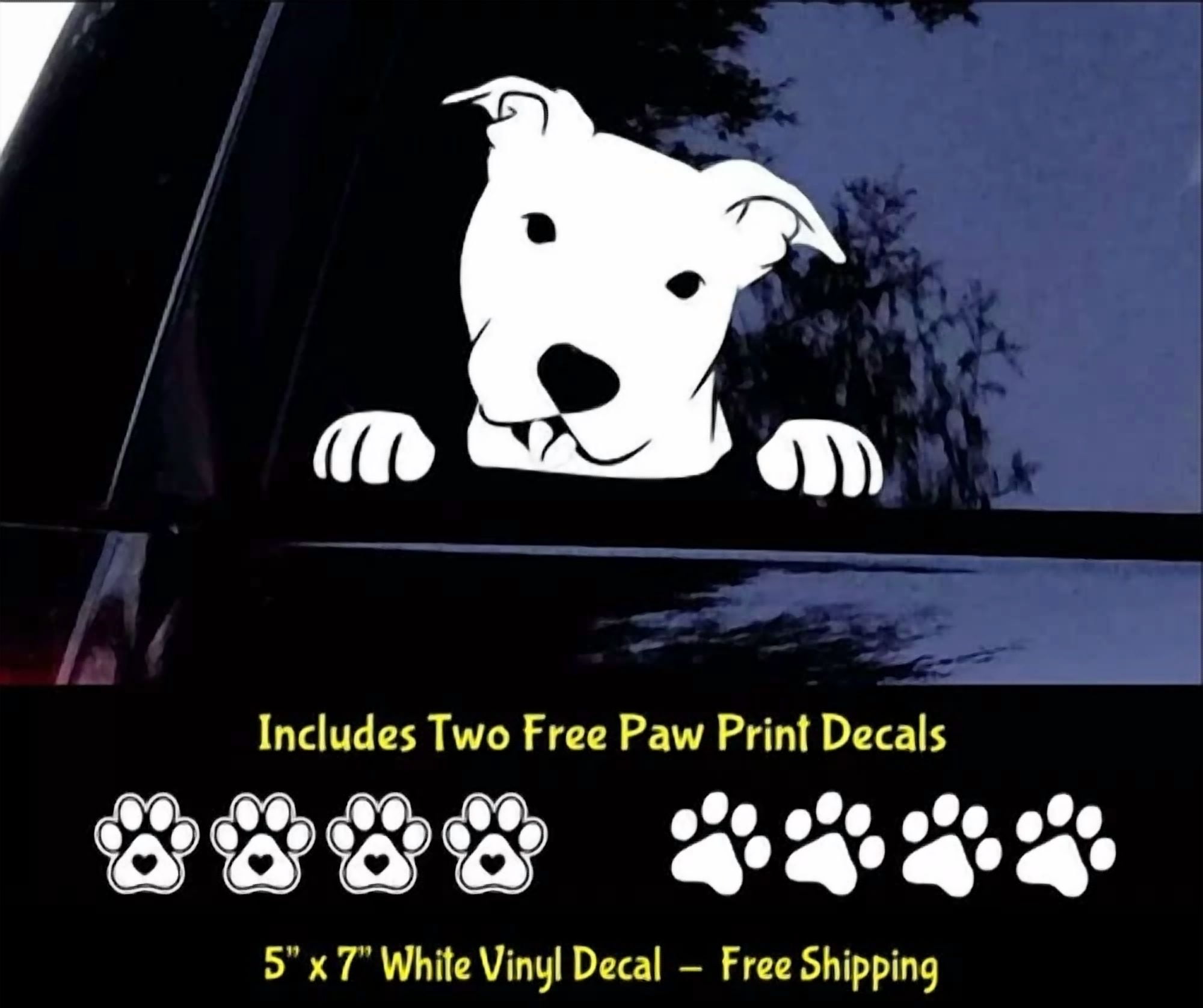 STARLIGHT- Pitbull Peeking Pit Face 5" X 7" White Vinyl Decal Car Truck ...