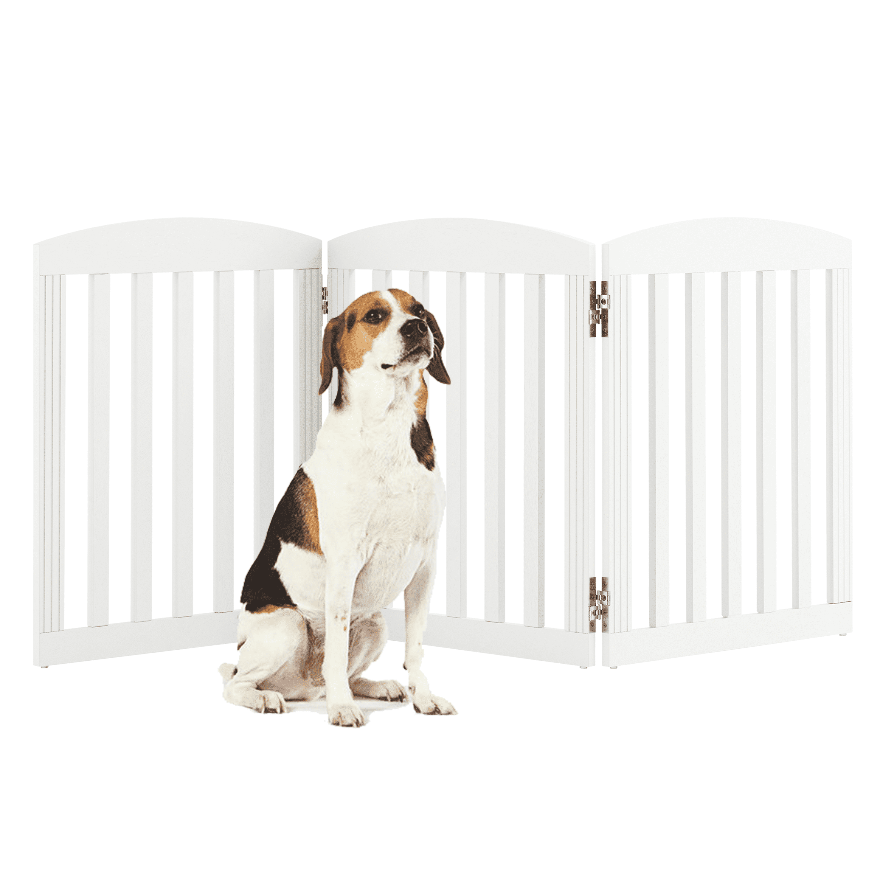 STAROUS Foldable Dog Gate, Dog Gates for Doorways, Stairs, The House ...