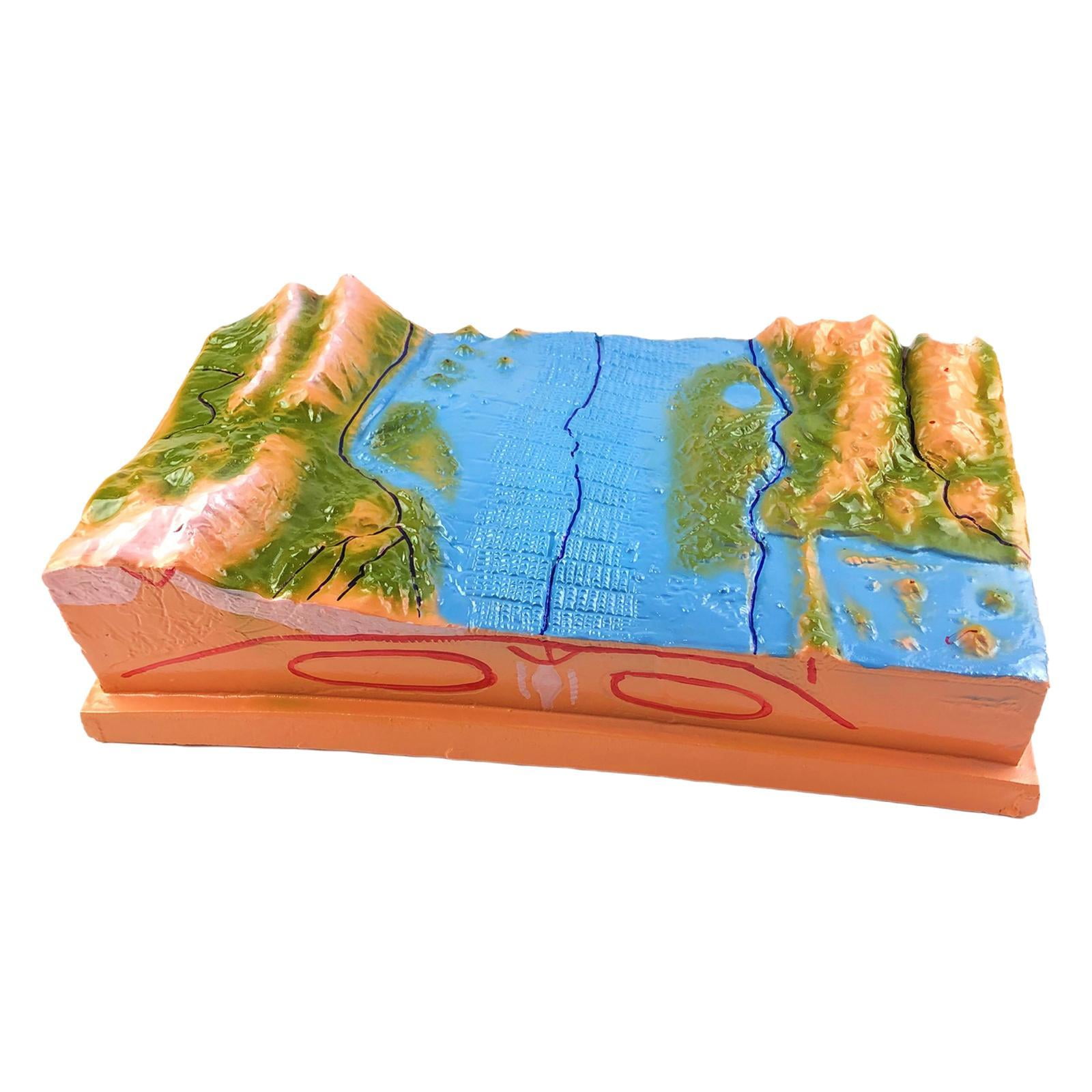 STARTIST Geography Teaching Model Lightweight Geographic Plate Model ...