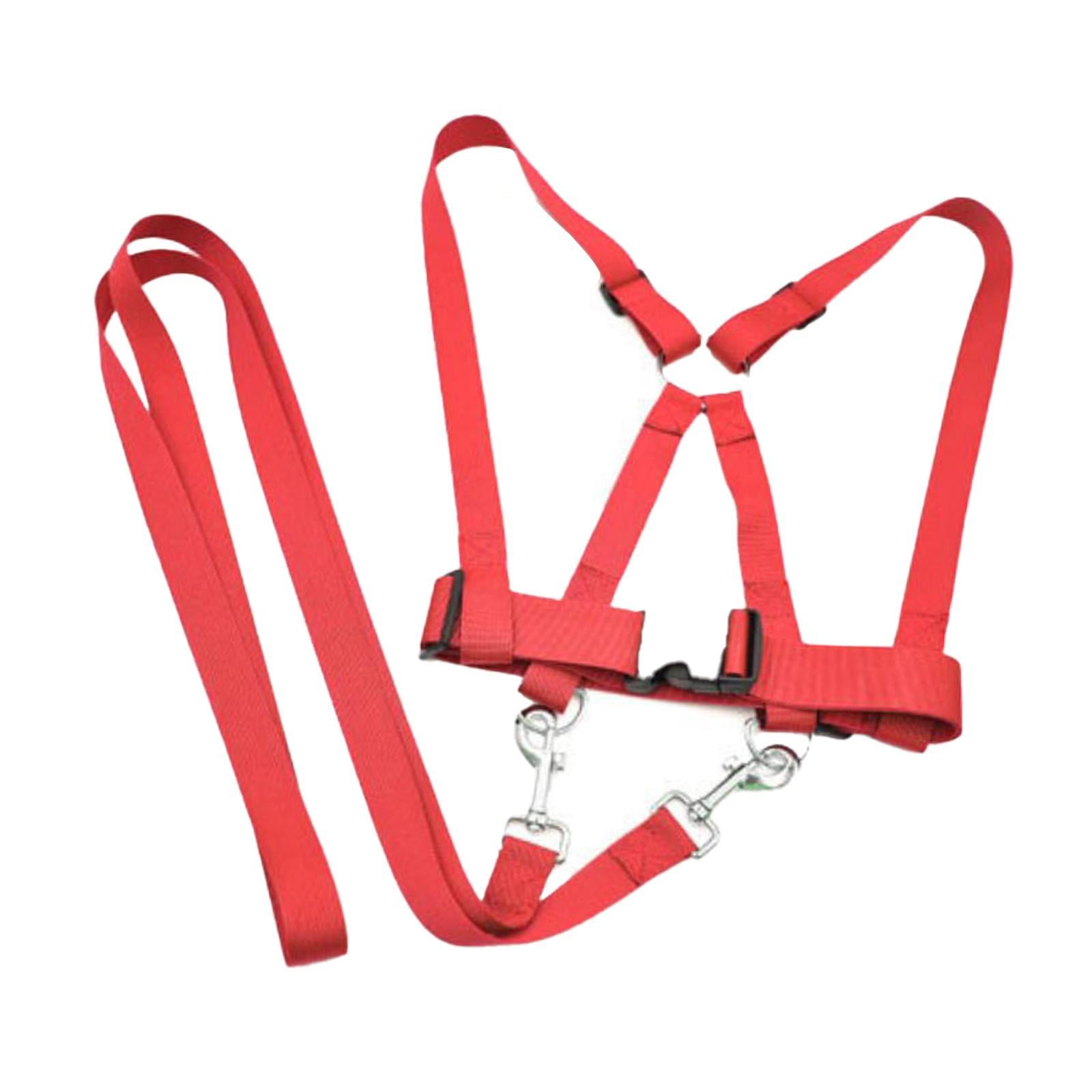 STARTIST Walking Harness for Kids Running Harness for Child Older ...