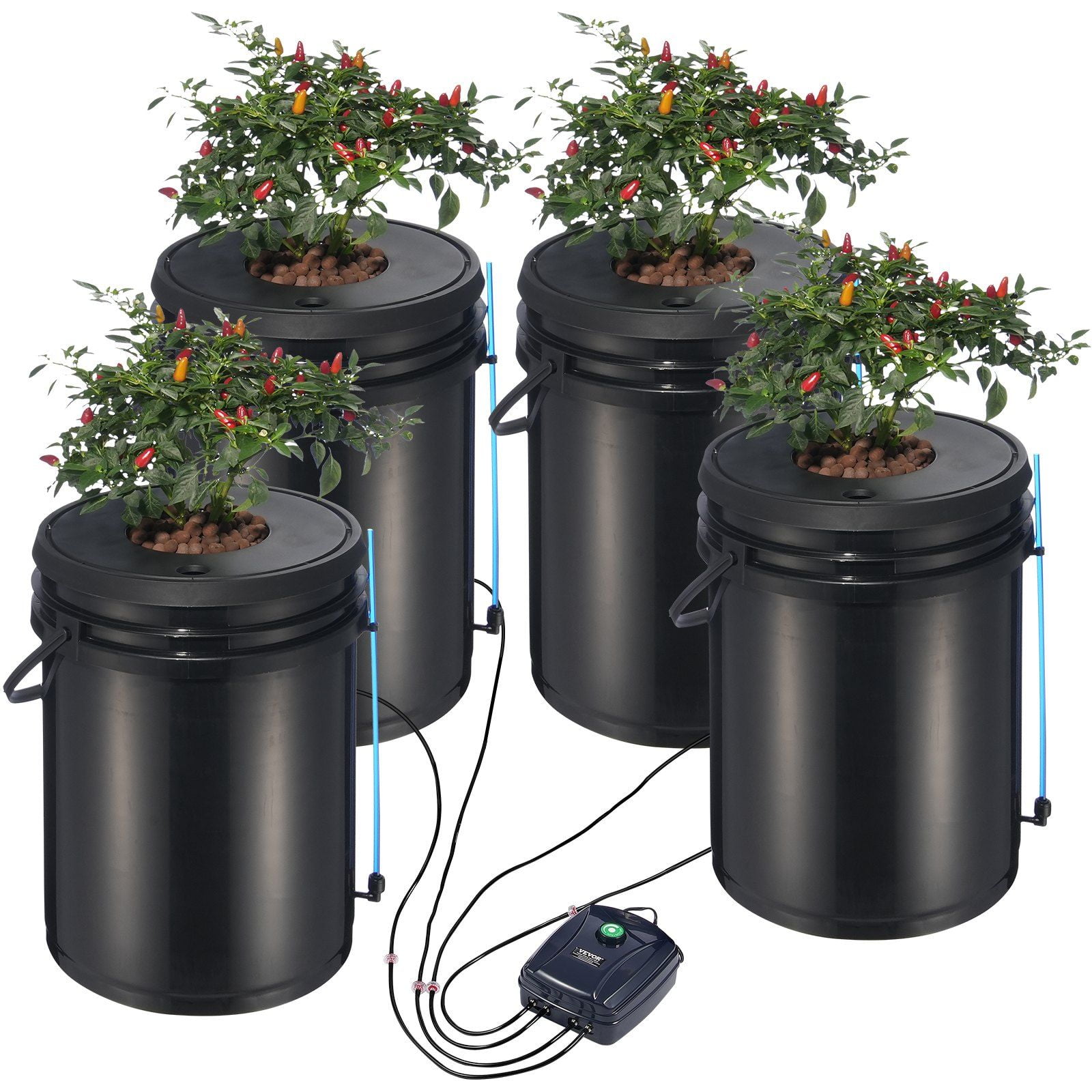 STAWAY Hydroponic System - 5 Gallon DWC Grow Kit for Leafy Vegetables with Pump, Air Stone ...