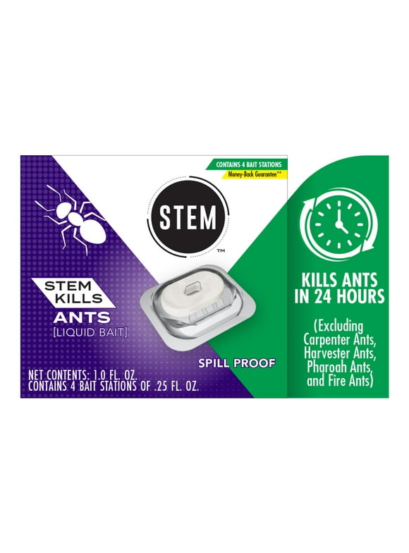 Roach Bait and Trap in Roach - Walmart.com