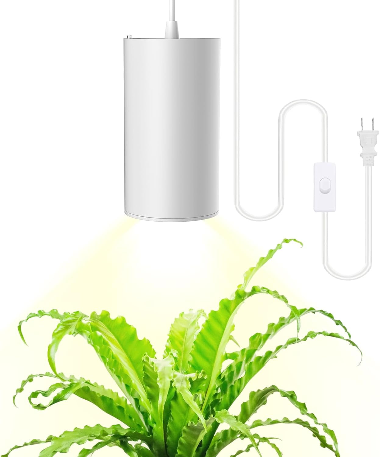STERREN LED Grow Light, White Plug in Hanging Lights for Indoor Plants ...