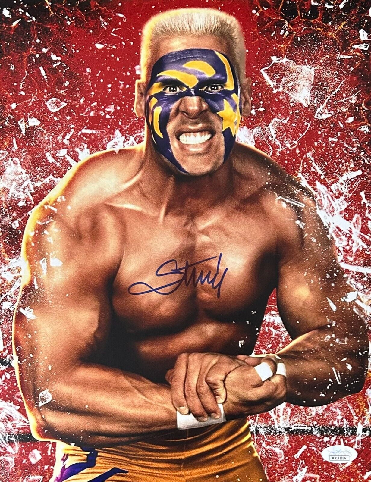 STING Signed Autographed 11x14 Photo JSA Authenticated #1 WCW WWE AEW ...