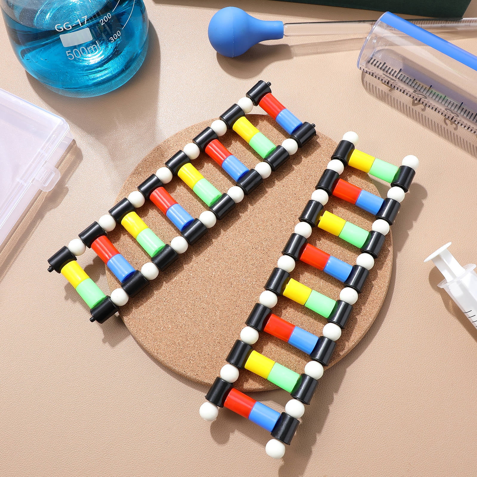 STOBOK Genetics Model Dna Double Helix Structure Models for High School ...