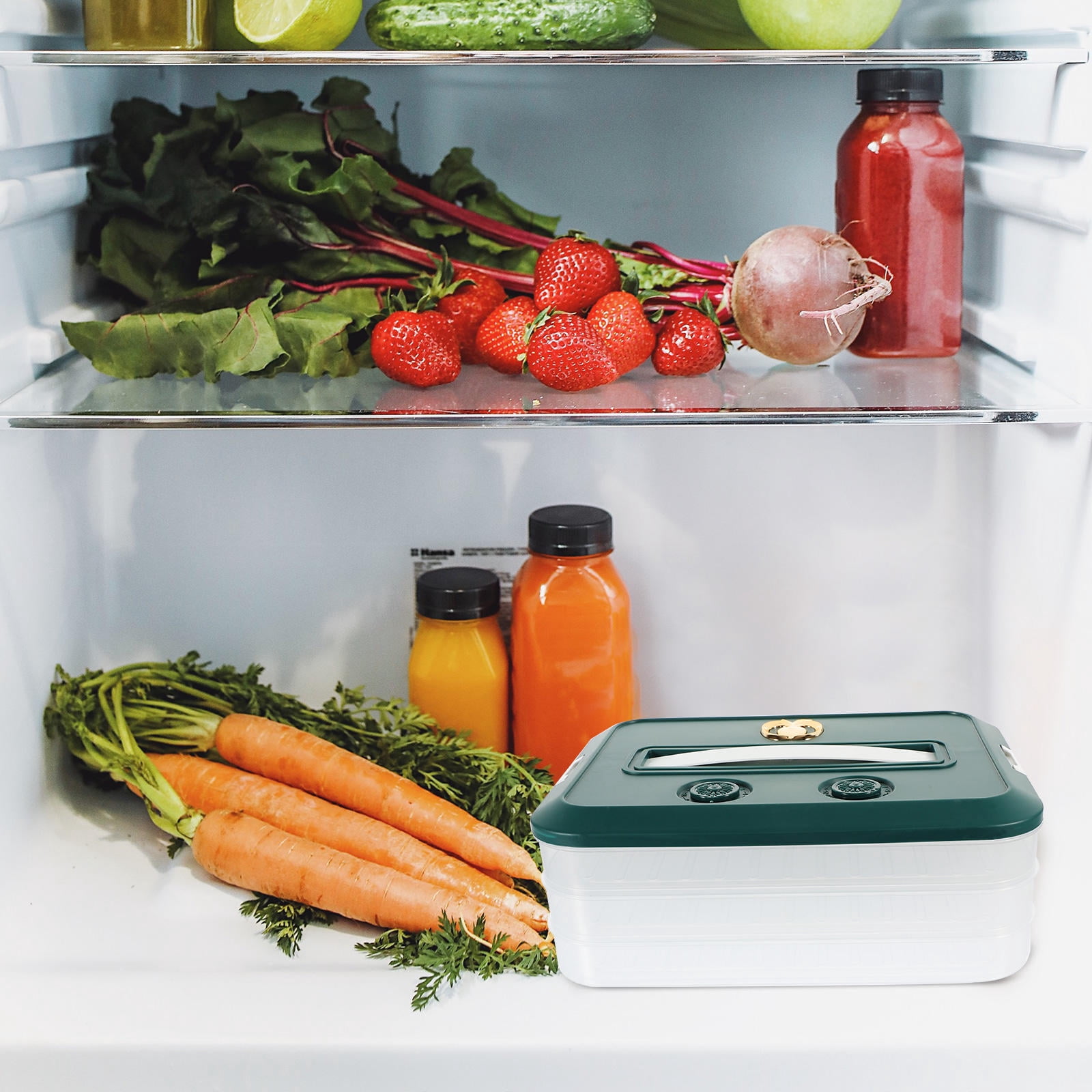 STOBOK Green Food Storage Container for Dumplings Refrigerator Box with ...