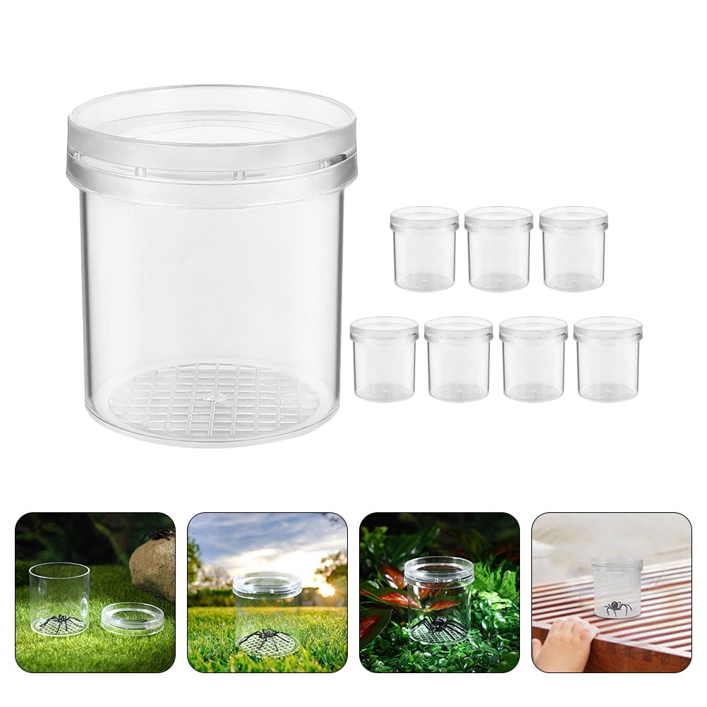 STOBOK Insect Specimen Display Box Insect Observation Case for Outdoor ...