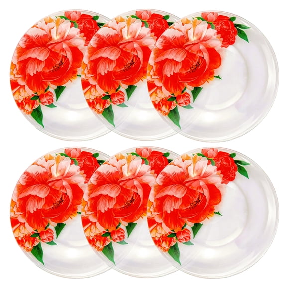 Glass Plates