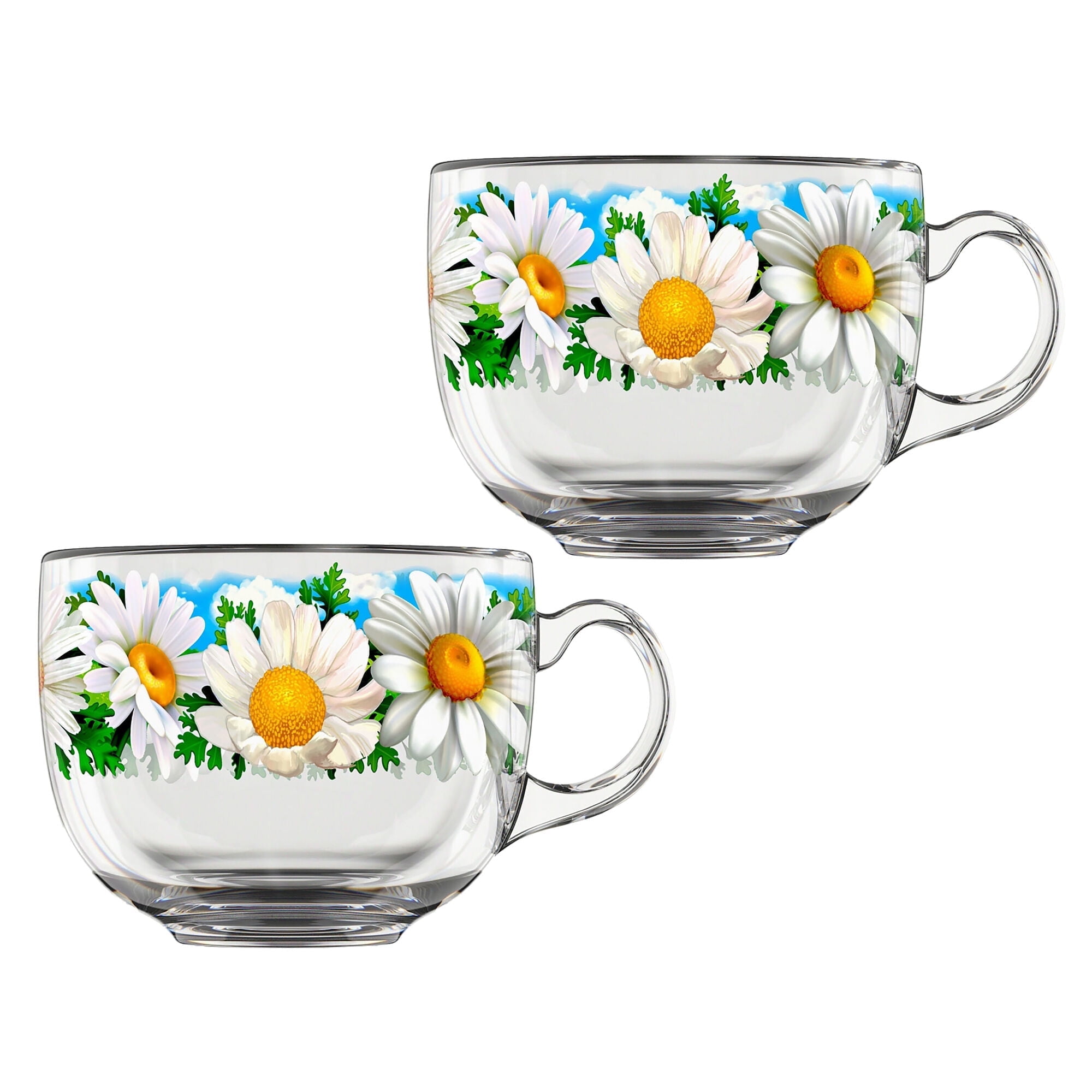 STP GOODS Daisy Field Glass Mug Set of 2 pcs 15.2 fl oz (450 ml) Tea ...