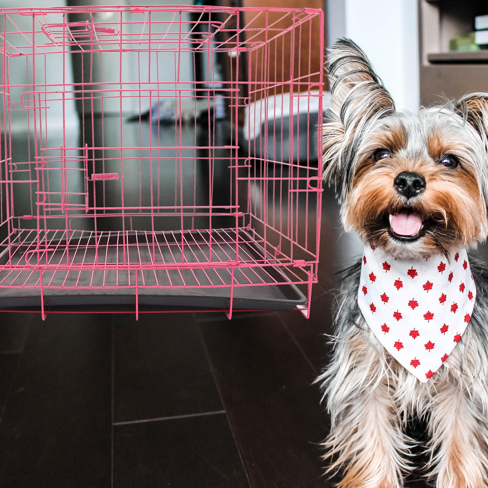 STRANDCHIC 1Set Pink Pet Cages for Dogs with Folding Design and ...
