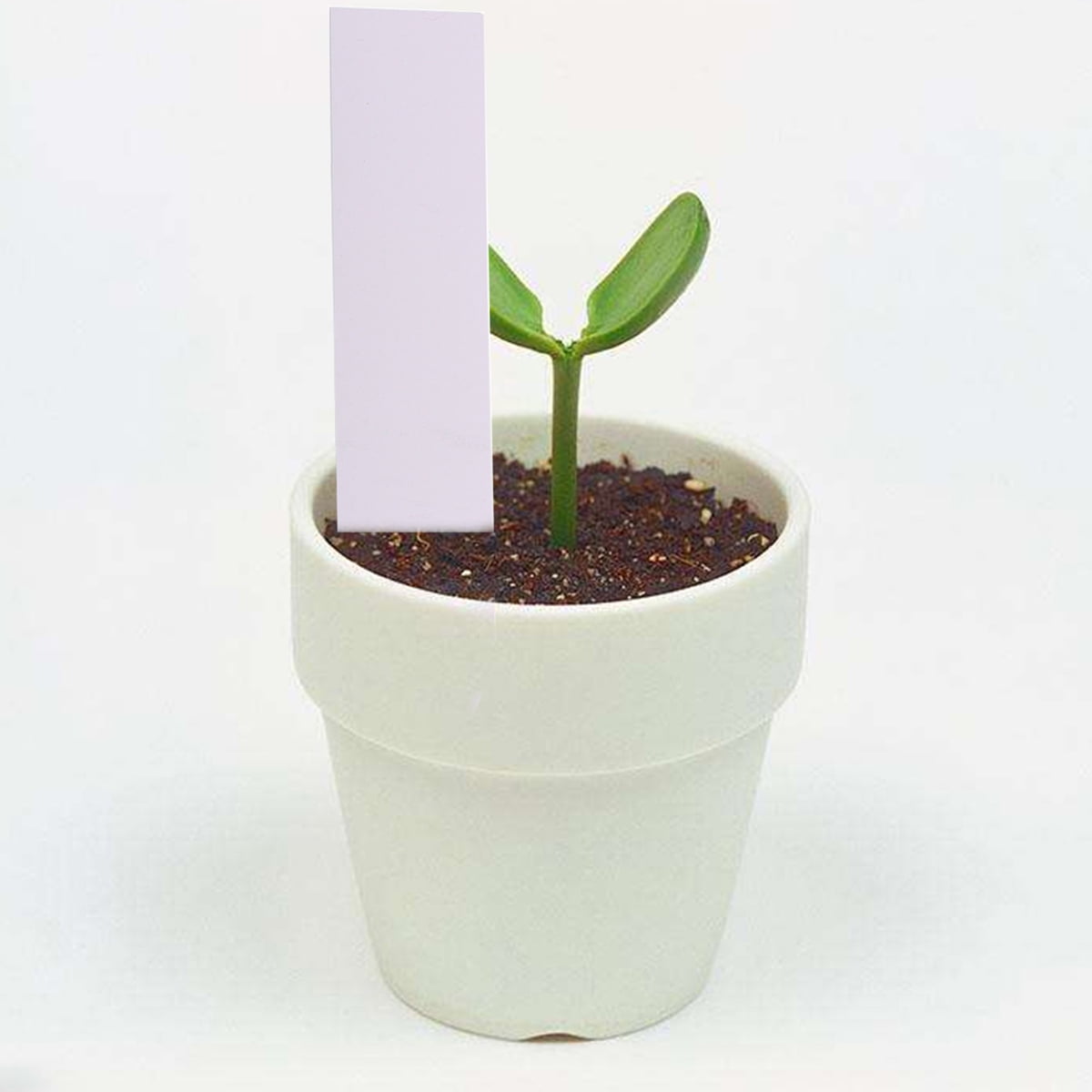 STRANDCHIC 300Pack Weatherproof Plastic Garden Row Markers Label Stakes ...