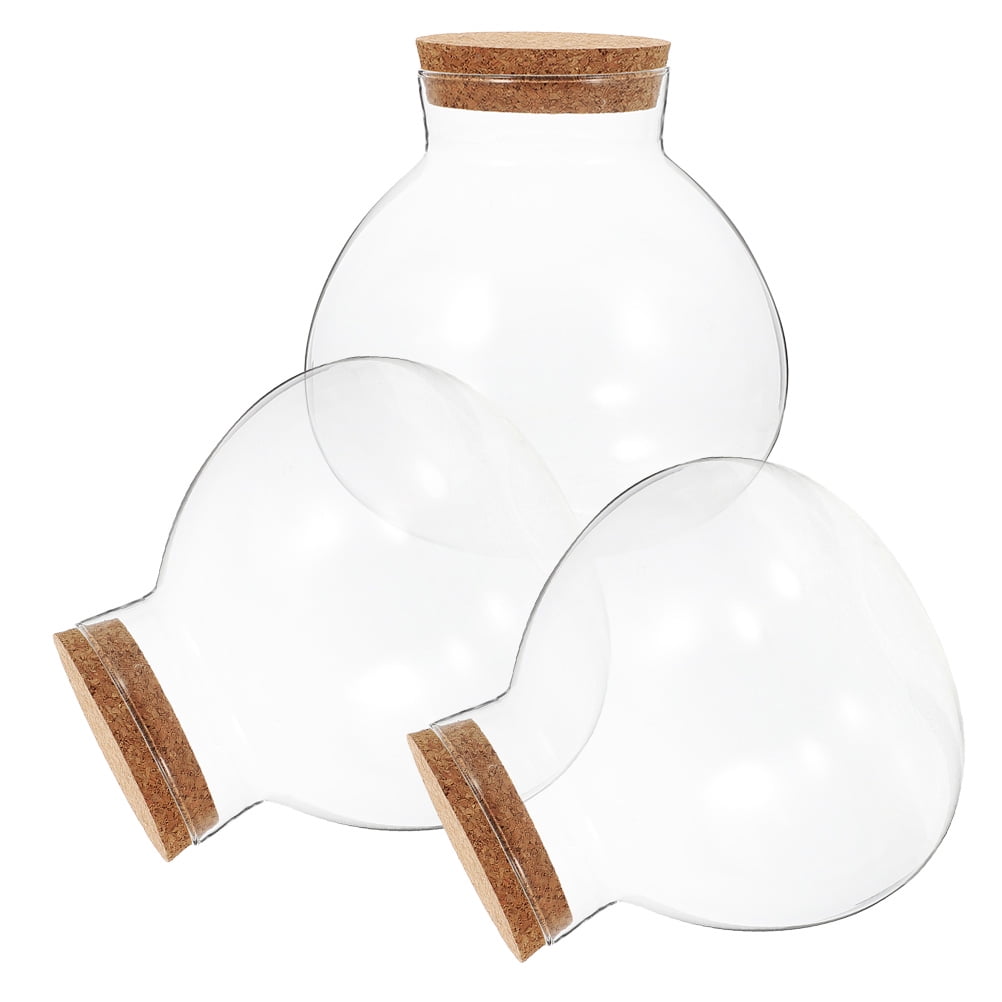STRANDCHIC 3Pcs Clear Glass Planter Terrarium Glass Bottle Modern Style ...