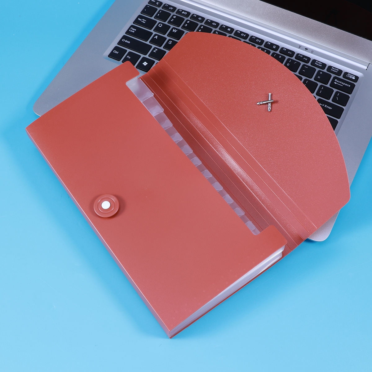 STRANDCHIC File Folder Pockets Plastic Folder Organizer Maroon 1Set ...