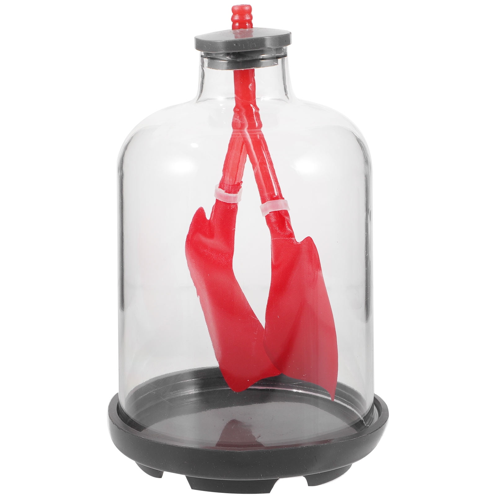 STRANDCHIC Lung Model for Teaching Mold Red Rubber for Classroom 1Set ...