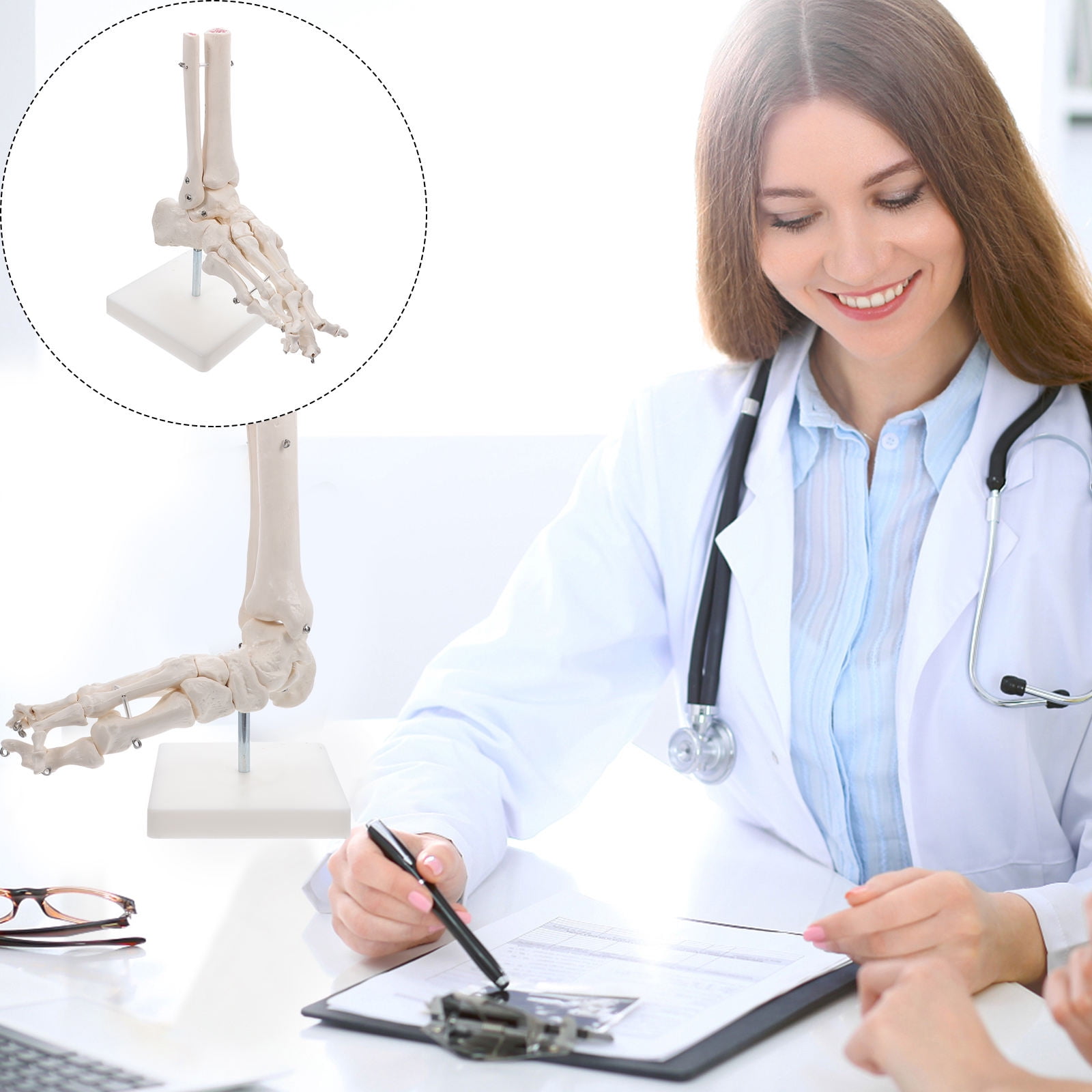 STRANDCHIC PVC Foot Bone Ankle Model 10.22X8.25X4.72 Inch Perfect For ...