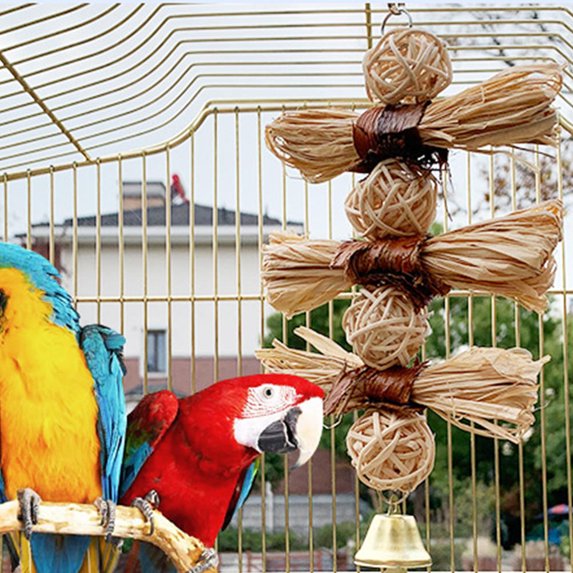 STRANDCHIC Parrot Rattan Balls for Outdoor Play Suitable for Cockatiels ...