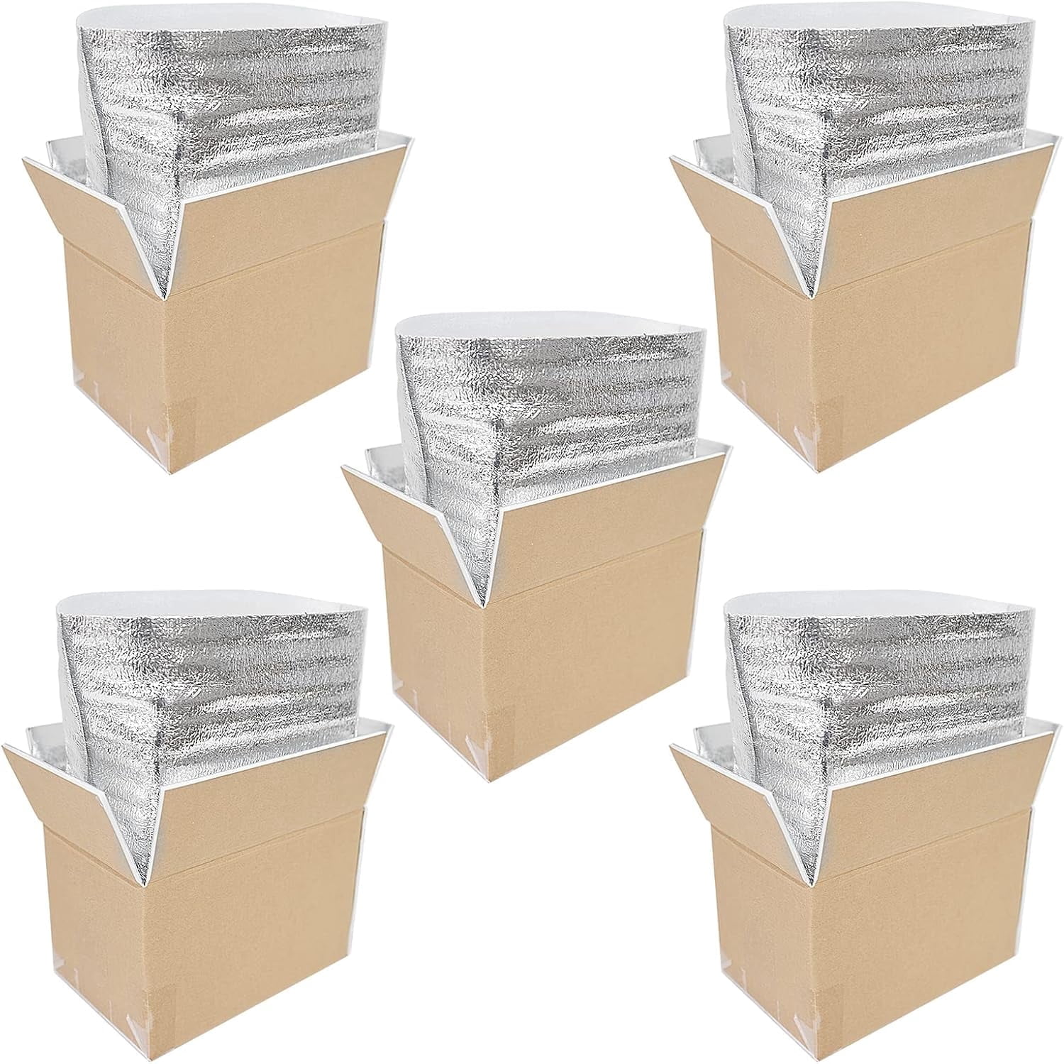 STRBOXONG Thermo Chill Double Insulated Carton with Foil Insulated Bag ...