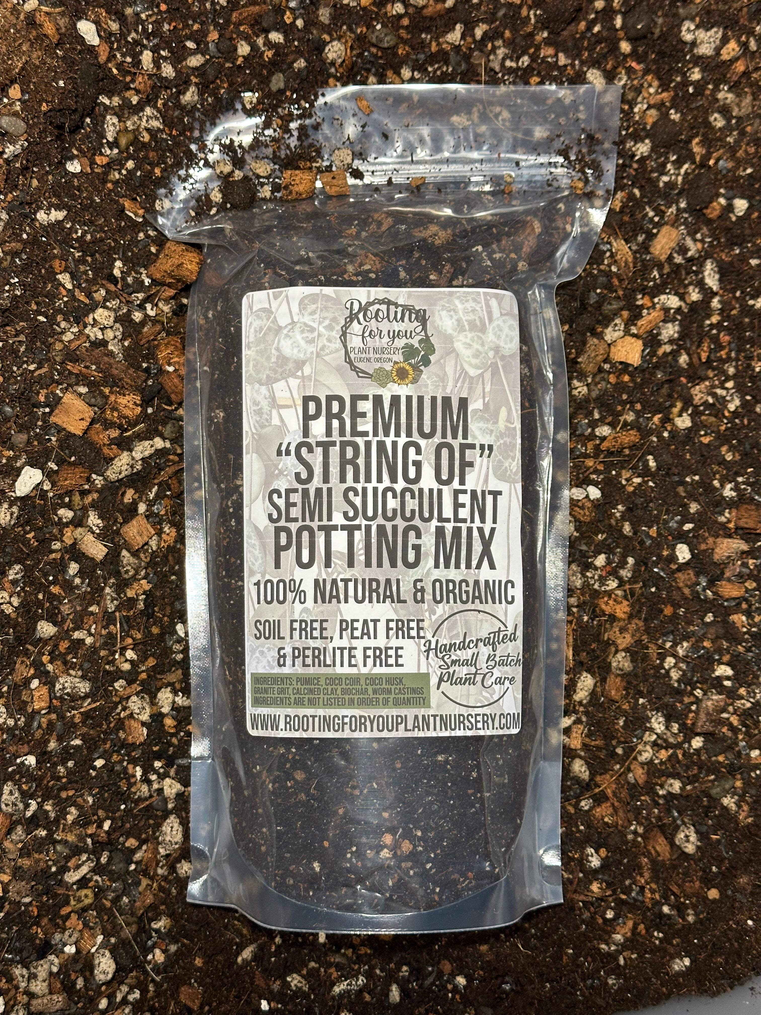 STRING OF SEMI SUCCULENT Premium Potting Mix - Walmart.com