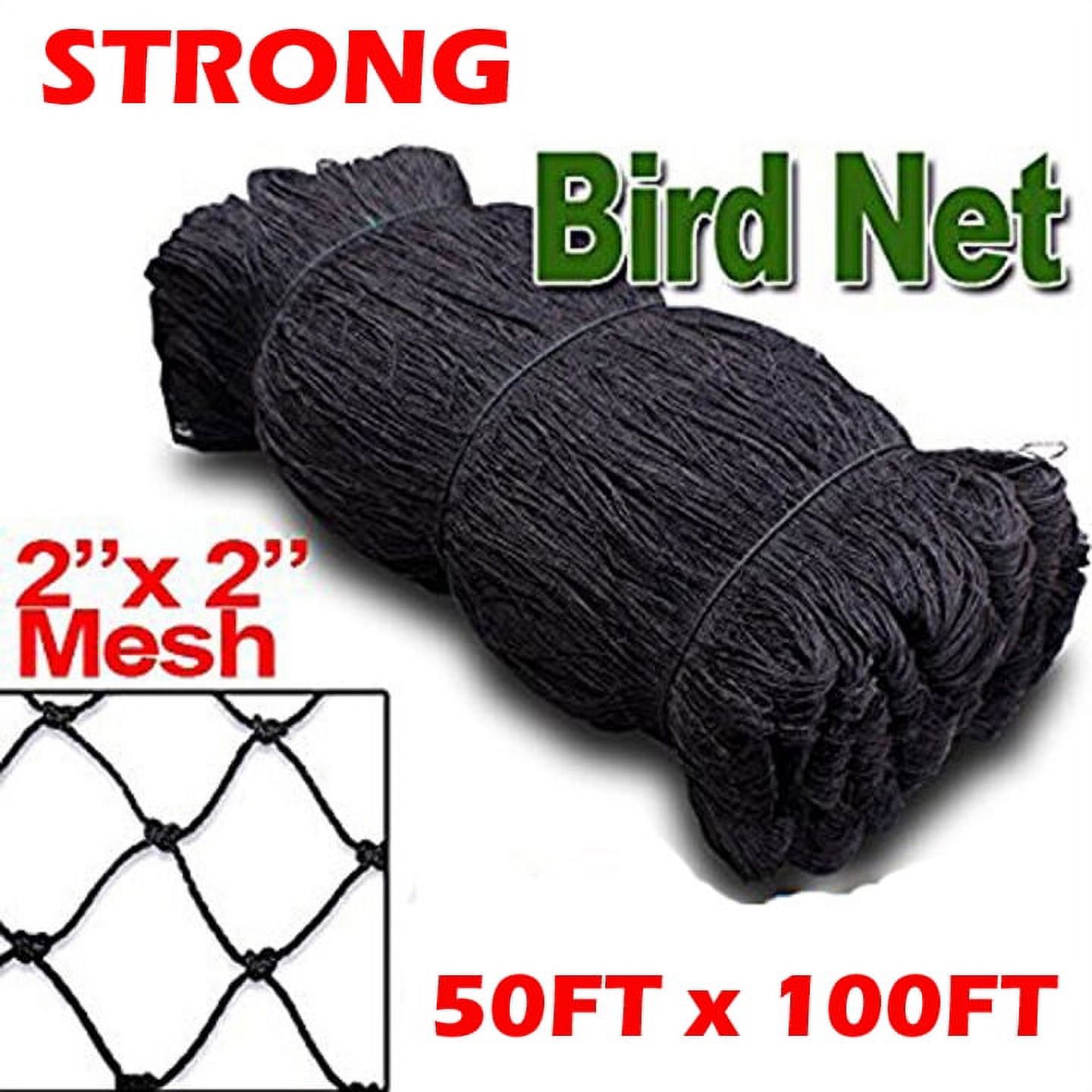 STRONG 50ft x 100ft Nylon 2-Inch Mesh Anti Bird Poultry Netting for ...