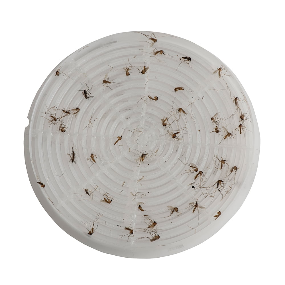 STUCK Pro AGO Mosquito Trap Sticky Screen Refills, 2-Pack - Walmart.com