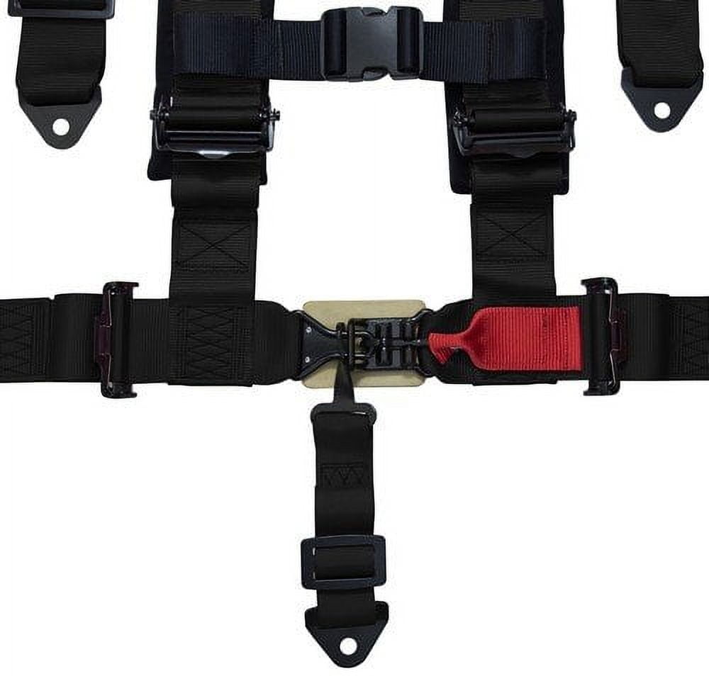 Stp Harness Ftm