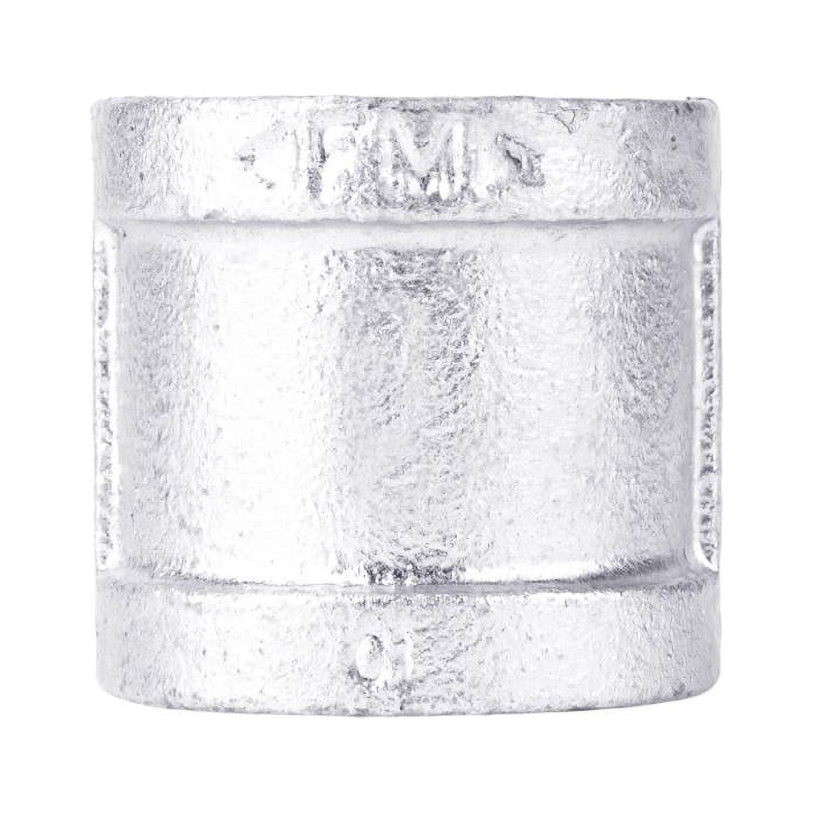 STZ Industries 1/8 in. FIP each X 1/8 in. D FIP Galvanized Malleable ...