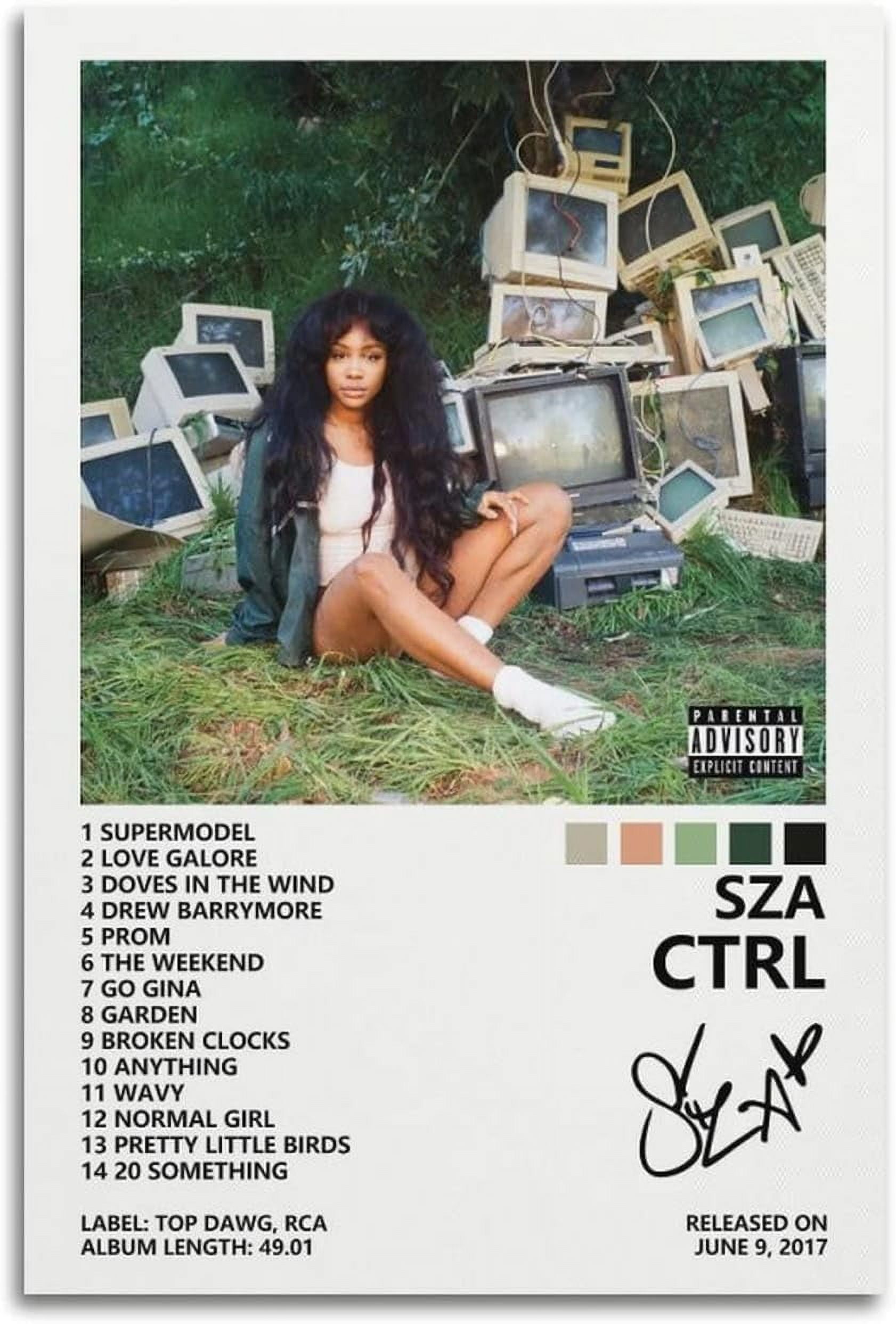 SUANYE Kali Uchis Poster Isolation Album Cover Poster for Bedroom ...