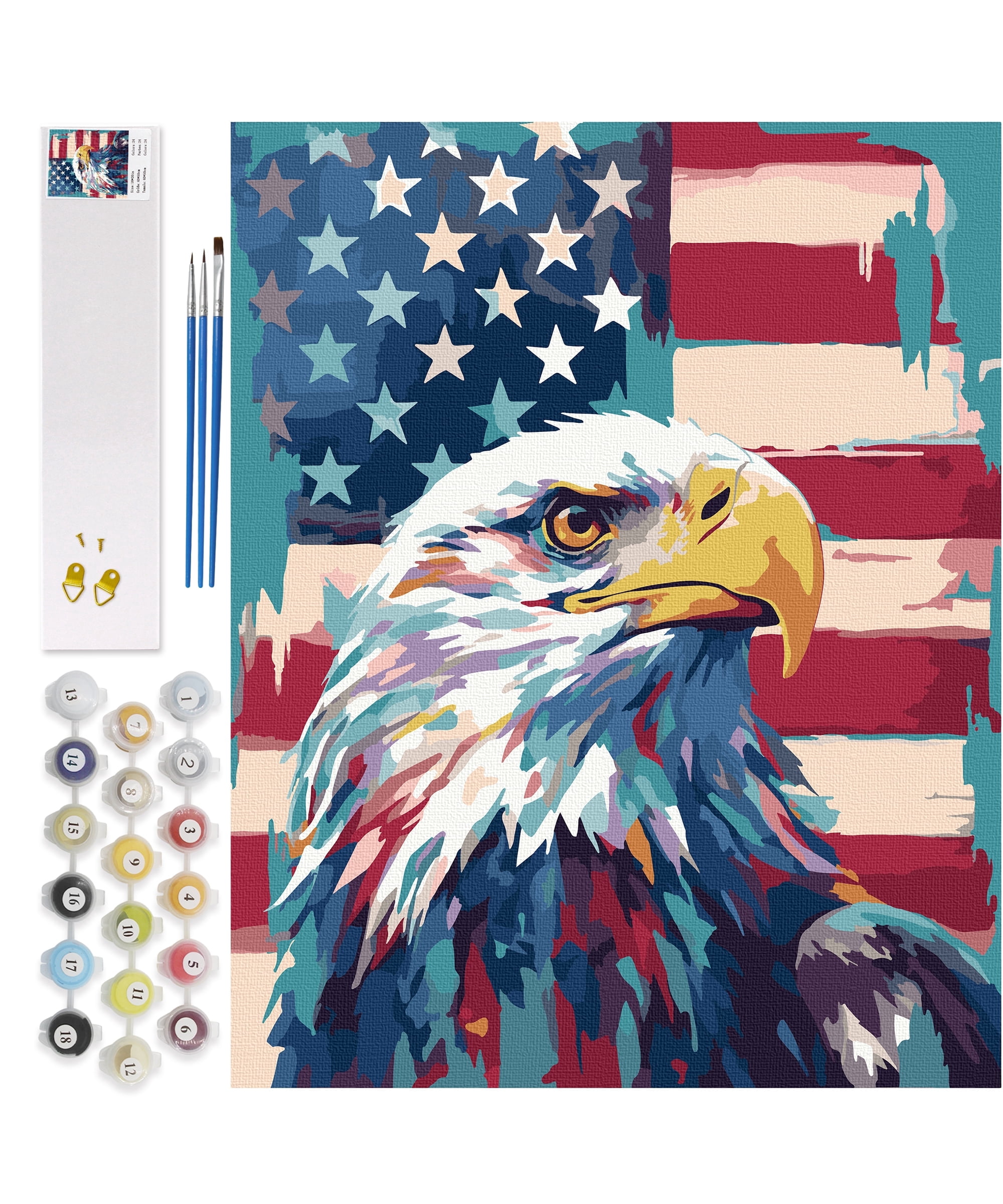 SUMGAR American Flag Paint by Numbers Kit for Adults Bald Eagle ...
