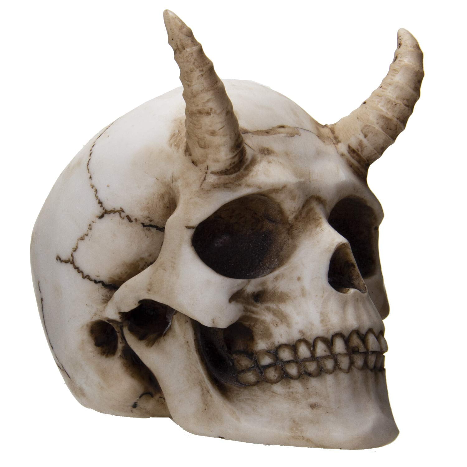 SUMMIT COLLECTION Devil Horned Skull Demon Skull Human Skull Bone 3.75 ...
