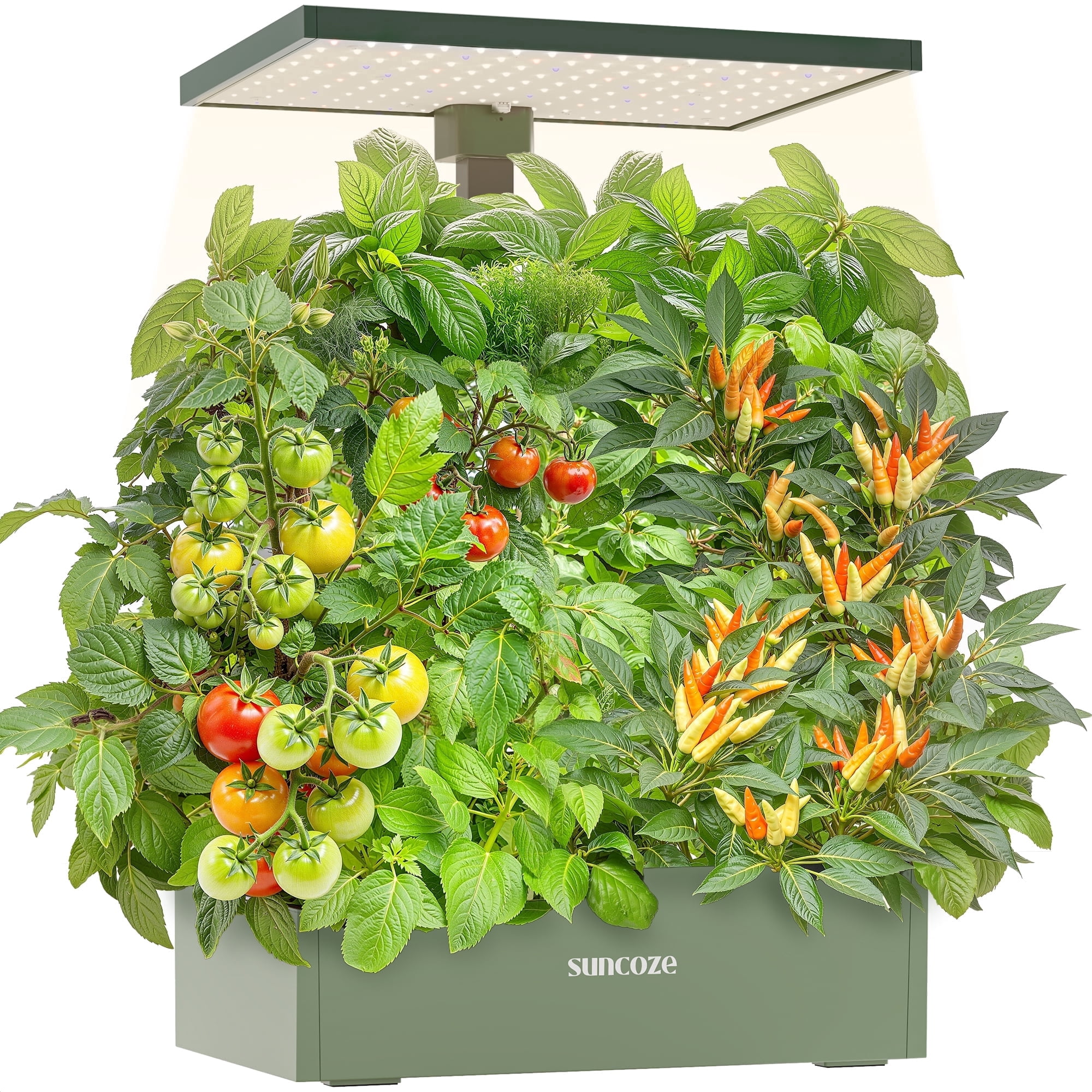 SUNCOZE Hydroponics Growing System Kit, 20 Pod Indoor Herb Garden with ...