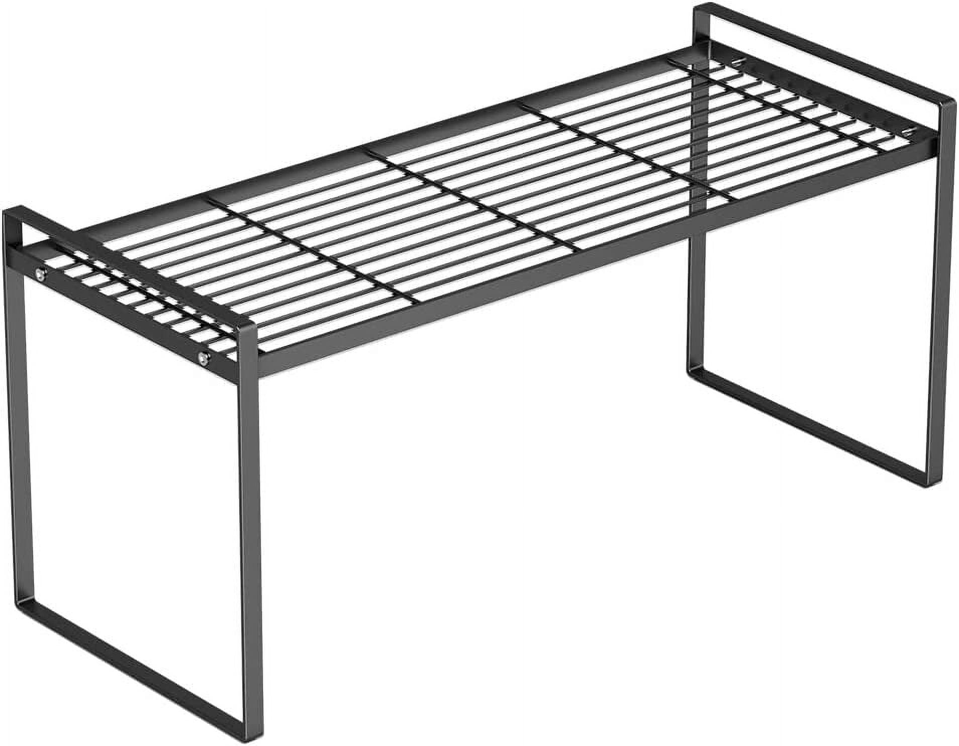 SUNFICON 2-Tier Black Storage Rack, Rust Resistant Heavy Duty Cabinet ...