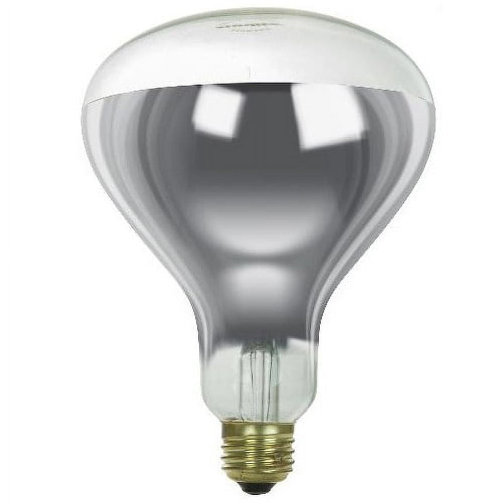 SUNLITE 250 watt Tuff Skin Medium Base R40 Heat Lamp - Walmart.com