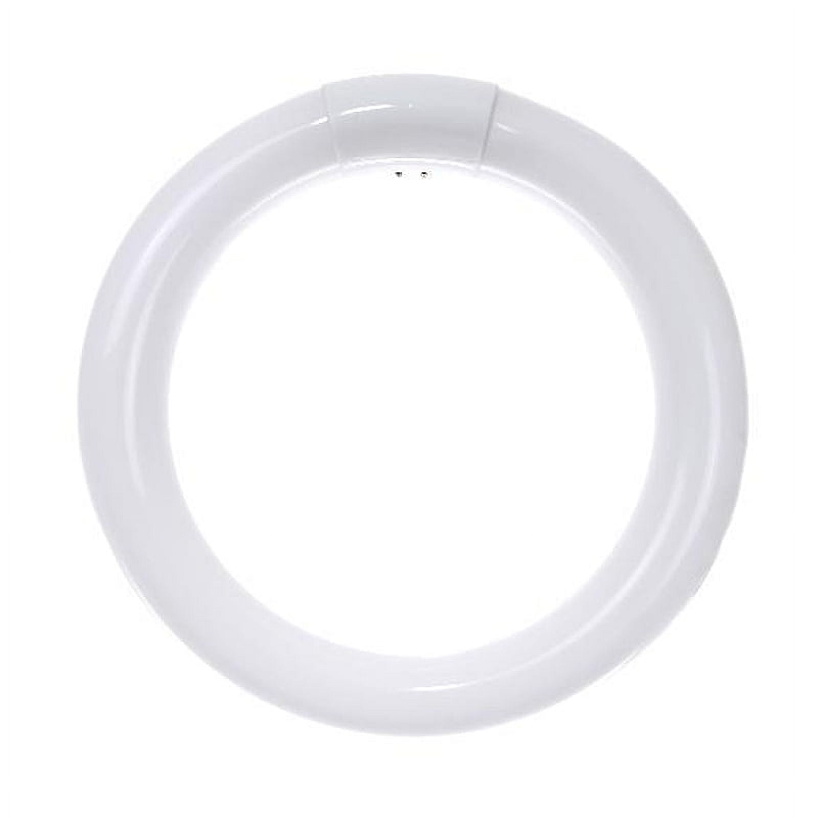 SUNLITE FC8T9/CW 22W T9 4100k Cool White Circline Fluorescent Bulb ...