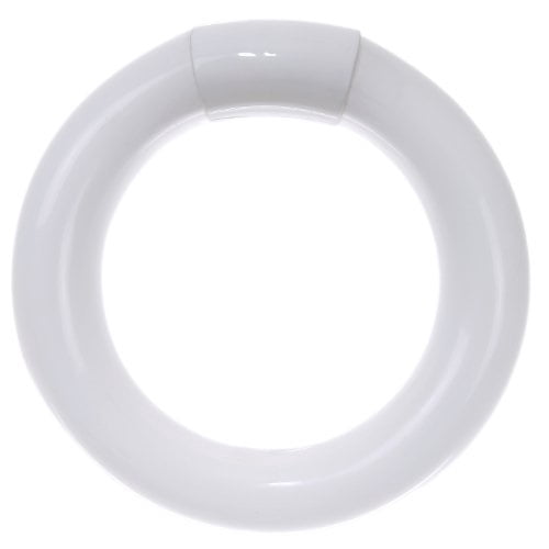 Sunlite 22W 6500K Daylight Circline Fluorescent Light Bulb, Long Life ...