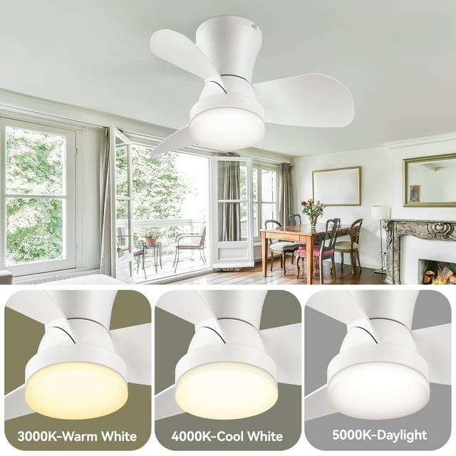 Free Shipping! SUNMORY 22 inch Ceiling Fans with Lights and Remote, Low ...