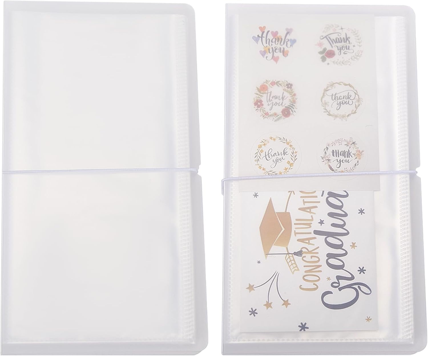 SUNNYCLUE 2 Books Sticker Storage Book 100 Pcs Clear Storage Book Large ...