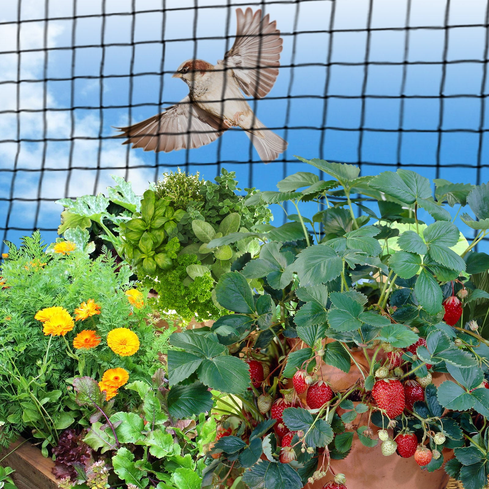 SUNNYOUTDOOR 25'x50' Stronger Netting Fruit Plant Protective Anti Bird ...