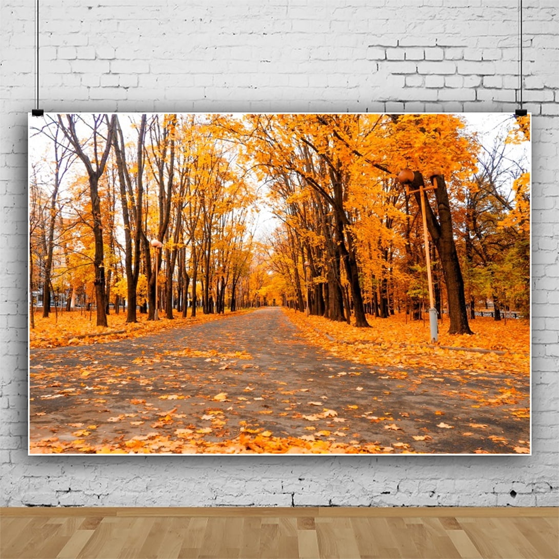SUNOLIFE Fall Backdrop Banner Autumn Nature Landscape Background ...